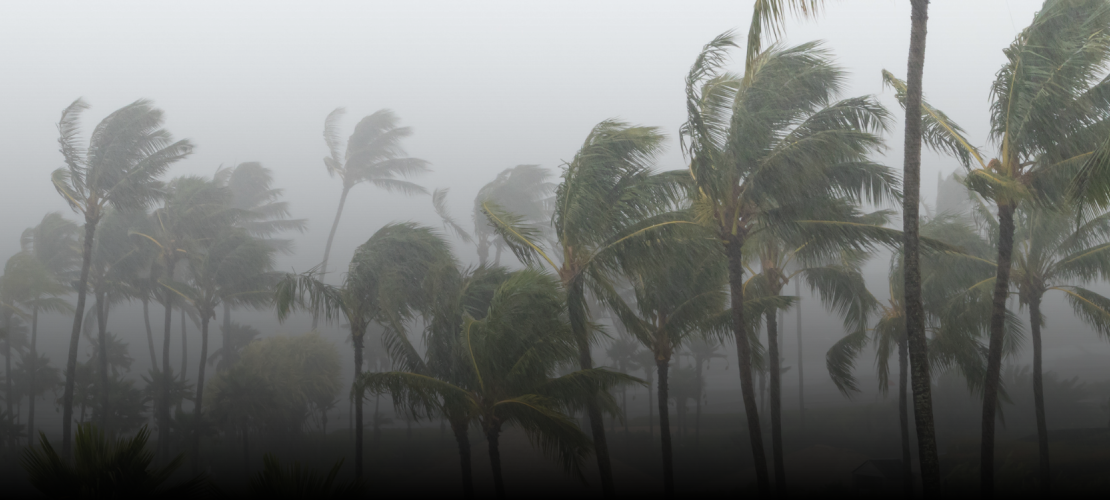 Ex- Tropical Cyclone Alfred - FAQs | Get Ready Queensland Ex- Tropical Cyclone Alfred - FAQs | Get Ready Queensland